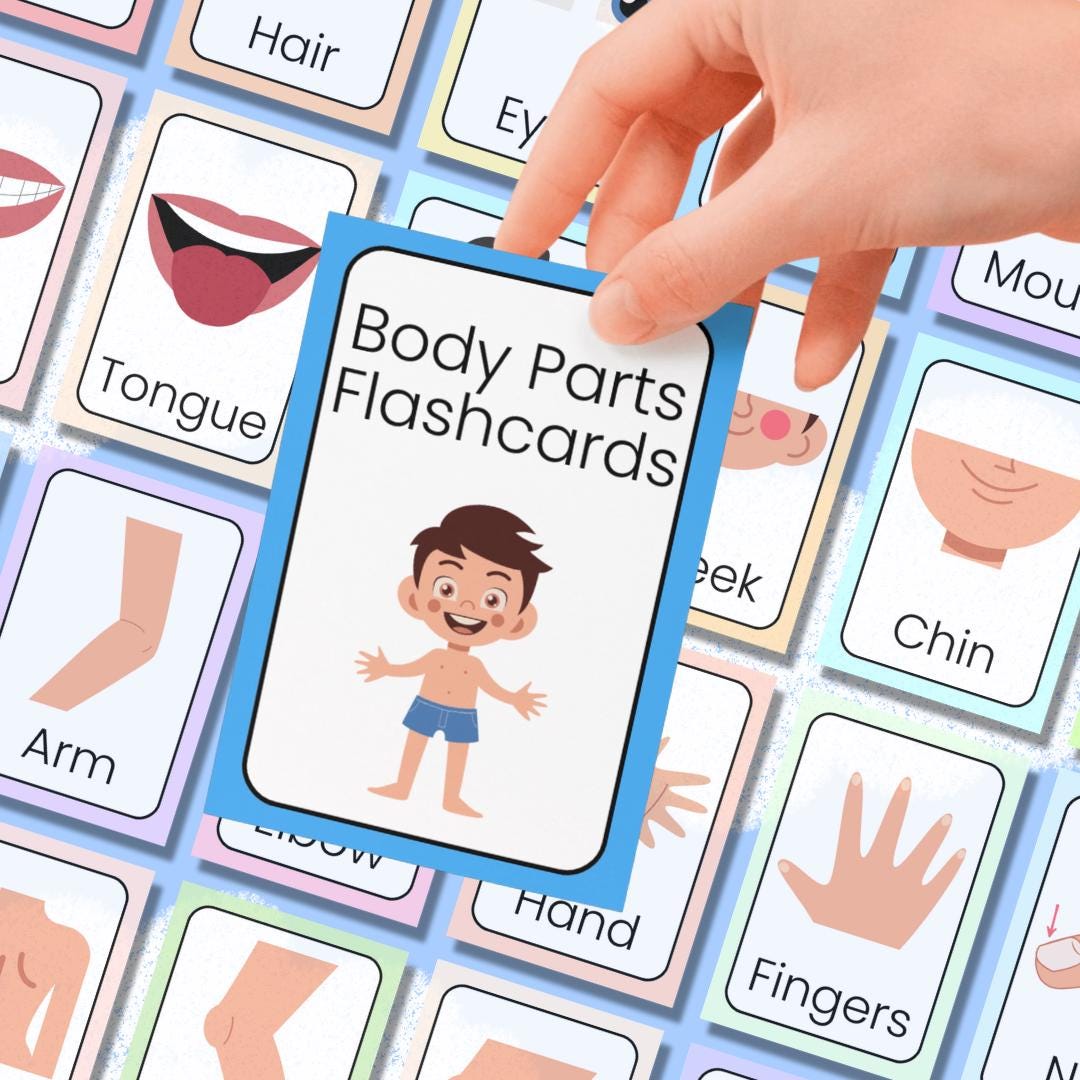 31 Body Parts Flashcards + Bonus Matching Activity | Learn Human Body ...