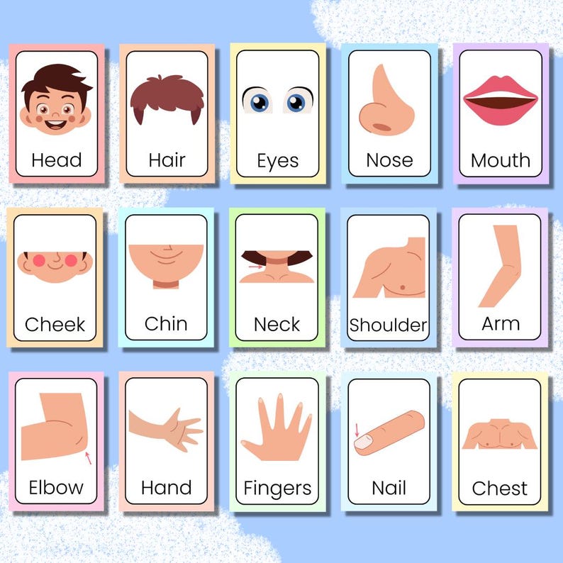 31 Body Parts Flashcards + Bonus Matching Activity | Learn Human Body ...