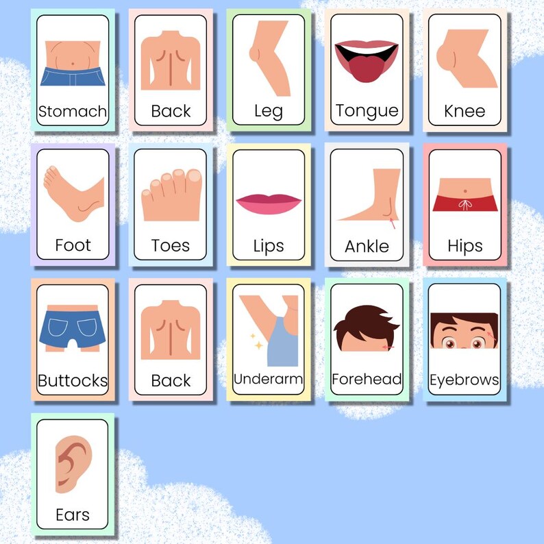 31 Body Parts Flashcards + Bonus Matching Activity | Learn Human Body ...