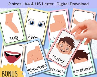 8 Human Body Organs Flashcards + Bonus Matching Activity | Body Organs ...