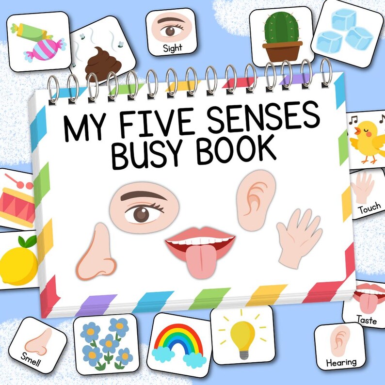 Five Senses Sorting Activity Printable, 5 Senses Sorting, Homeschool ...