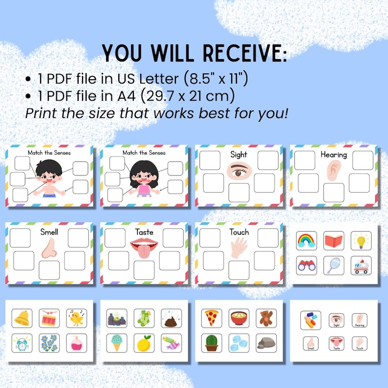 Five Senses Sorting Activity Printable, 5 Senses Sorting, Homeschool ...