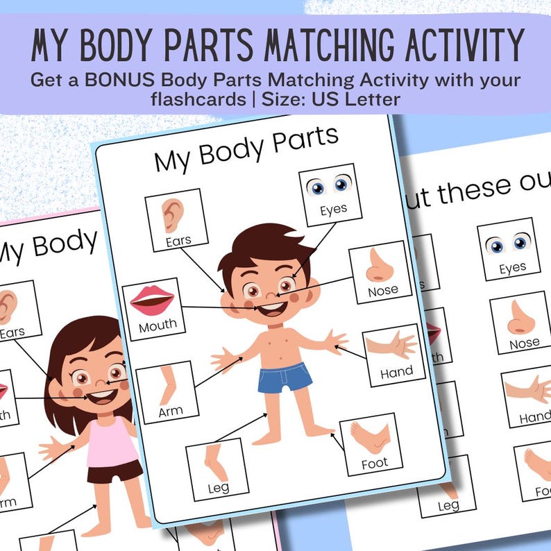 31 Body Parts Flashcards + Bonus Matching Activity | Learn Human Body ...