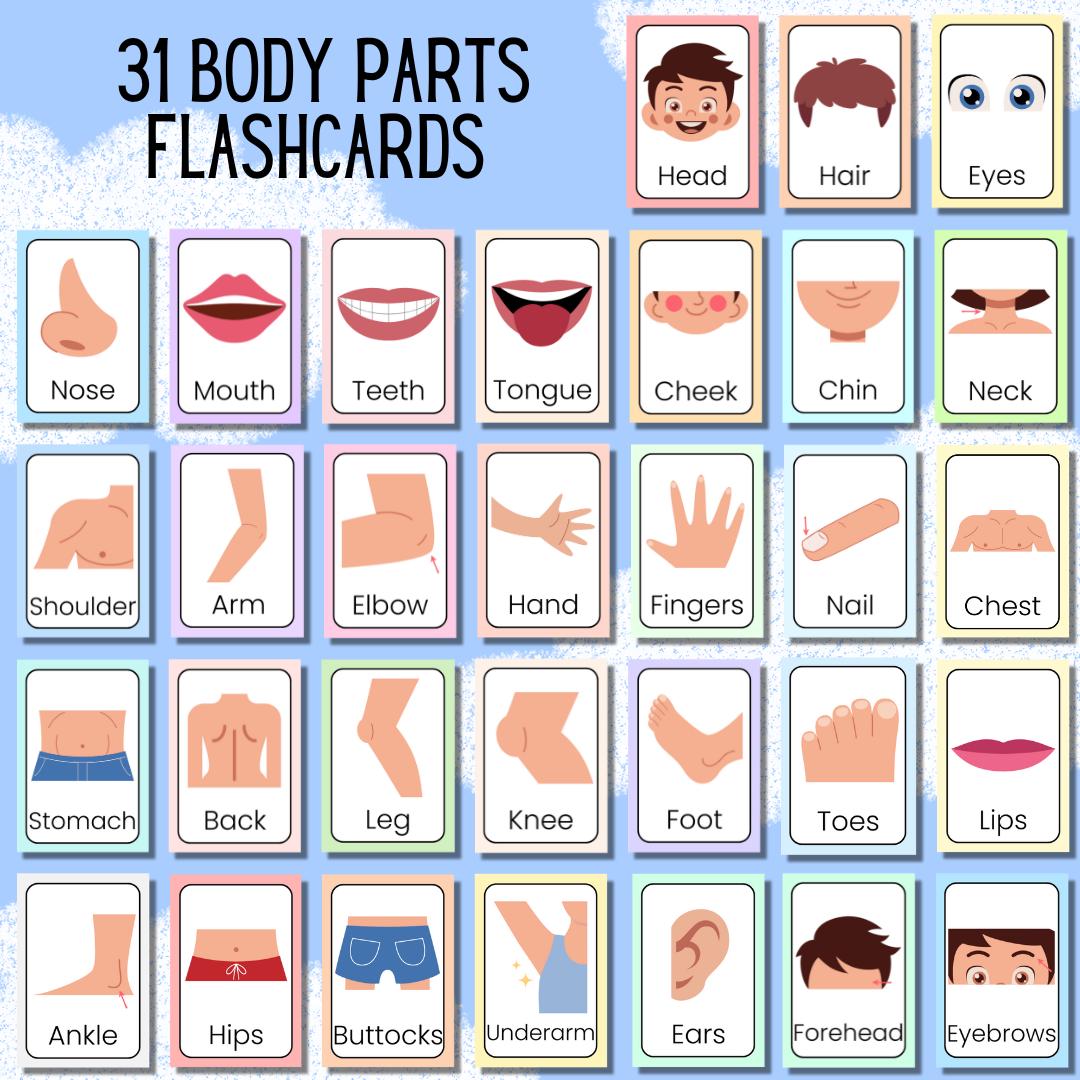 31 Body Parts Flashcards + Bonus Matching Activity | Learn Human Body ...