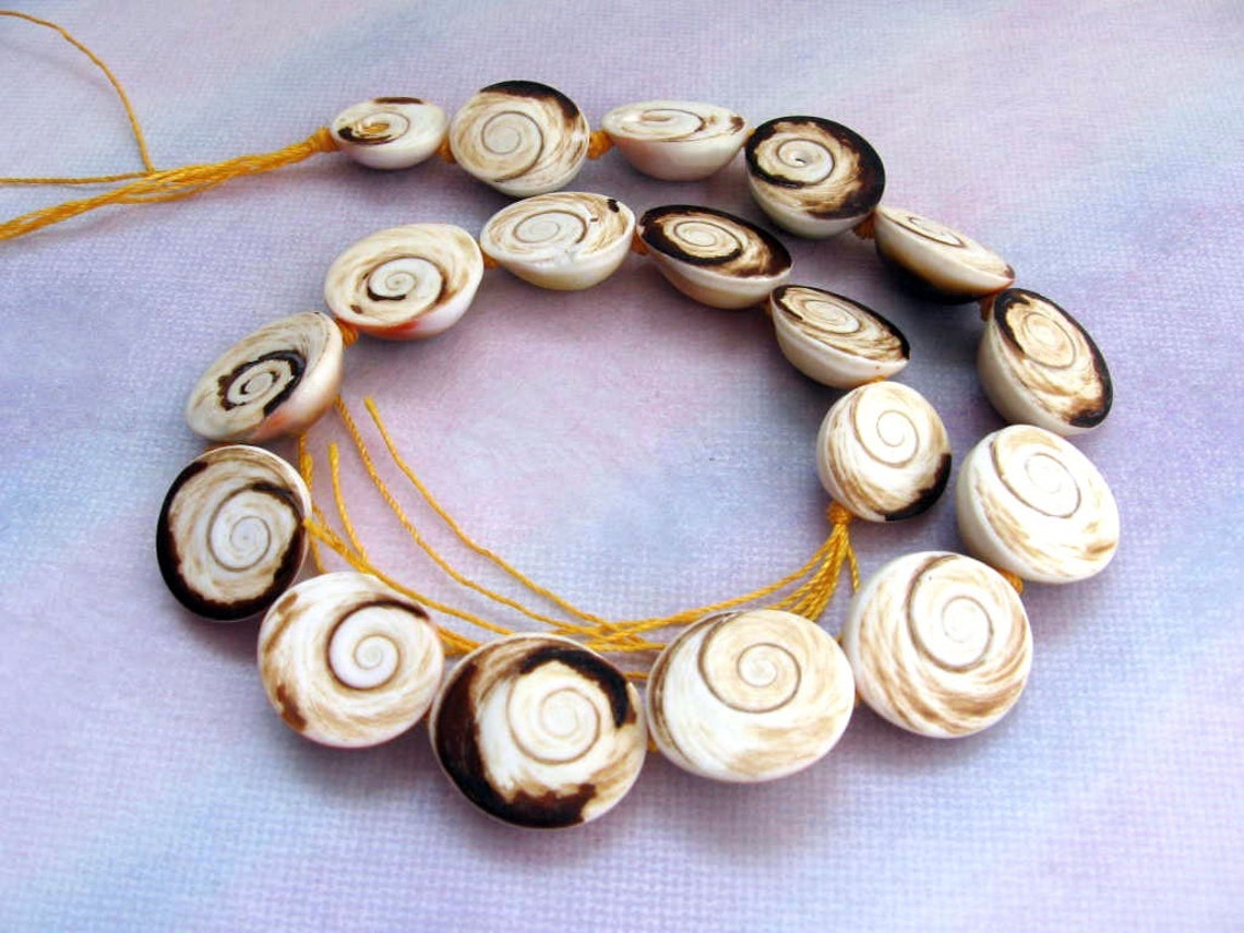Beautiful Freeform Sun Shell Loose Beads - 16 Inch Strand - Etsy