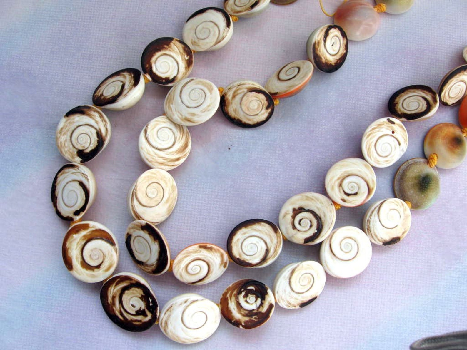 Beautiful Freeform Sun Shell Loose Beads - 16 Inch Strand - Etsy