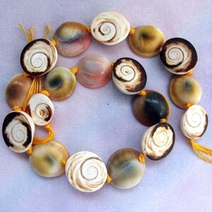 Beautiful Freeform Sun Shell Loose Beads - 16 Inch Strand - Etsy