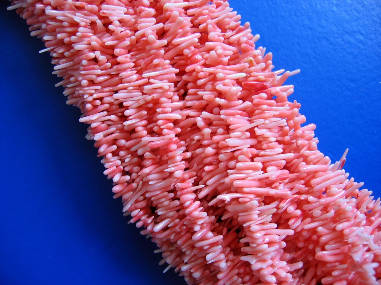 Charming Pink Coral Stick Beads 16 Inch Strand | Etsy