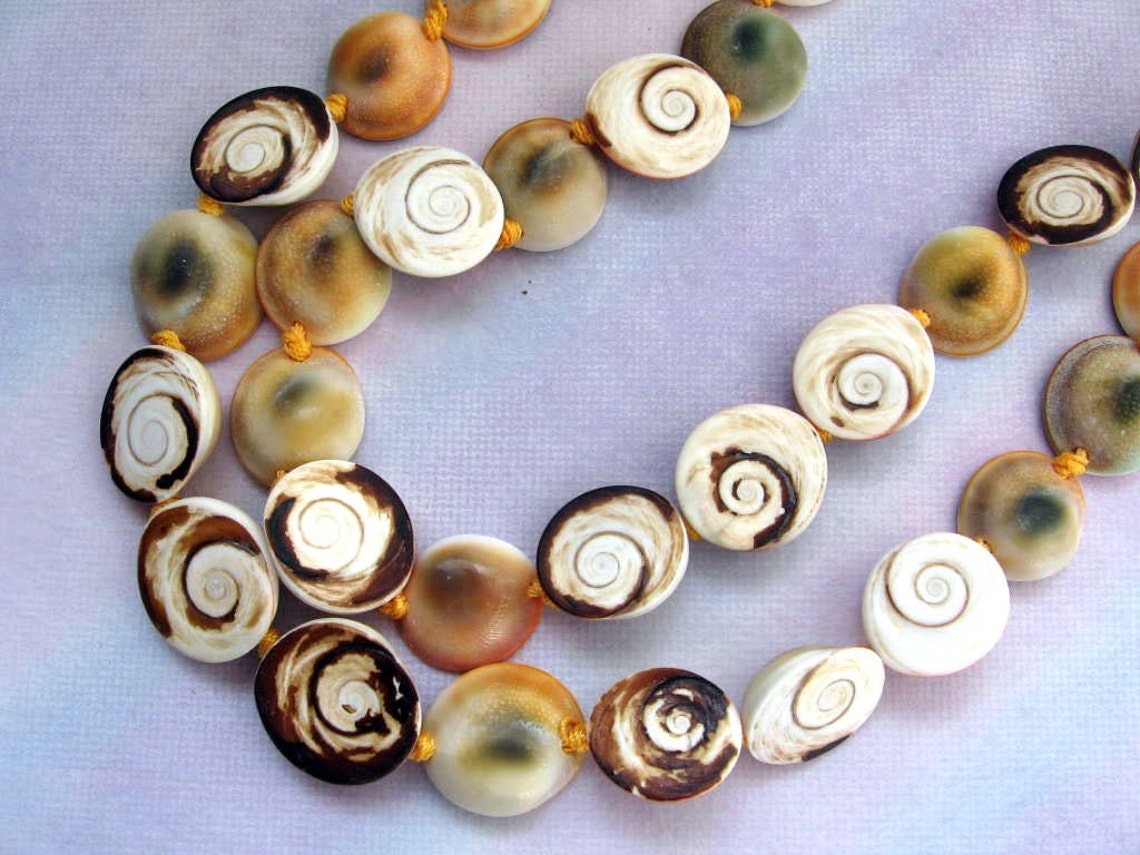 Beautiful Freeform Sun Shell Loose Beads - 16 Inch Strand - Etsy