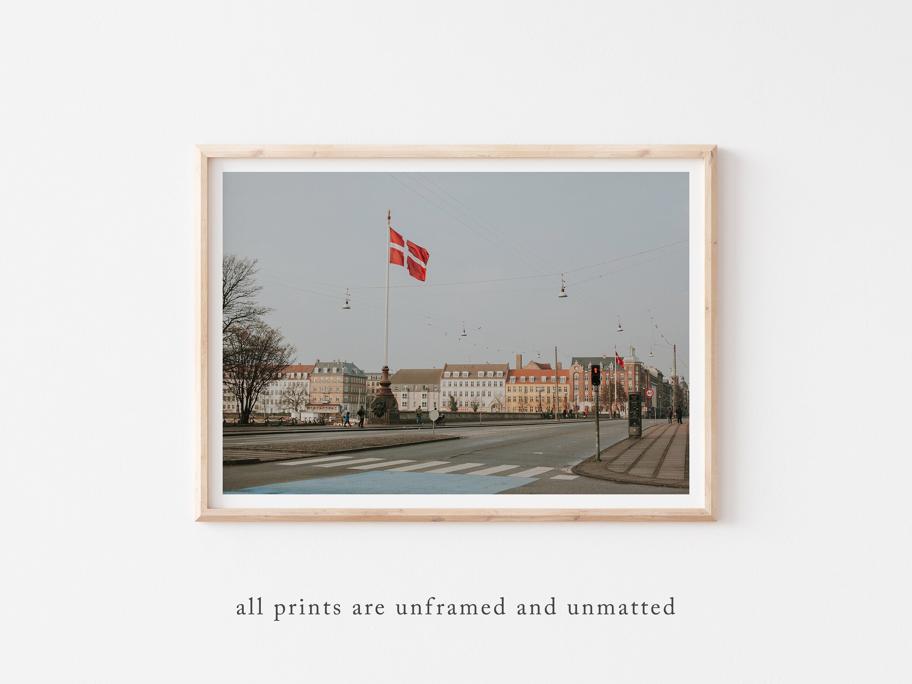 Denmark Flag Photography Print Copenhagen Denmark Wall Art - Etsy