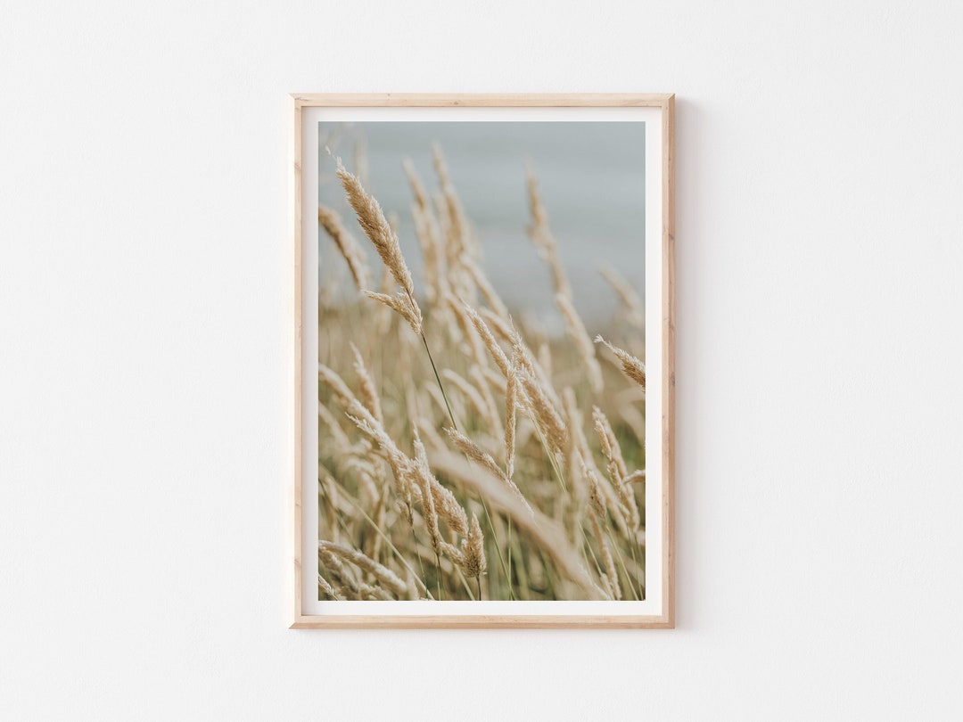 Pampas Grass Print, Coastal Poster, Beach Wheat Photography Print ...