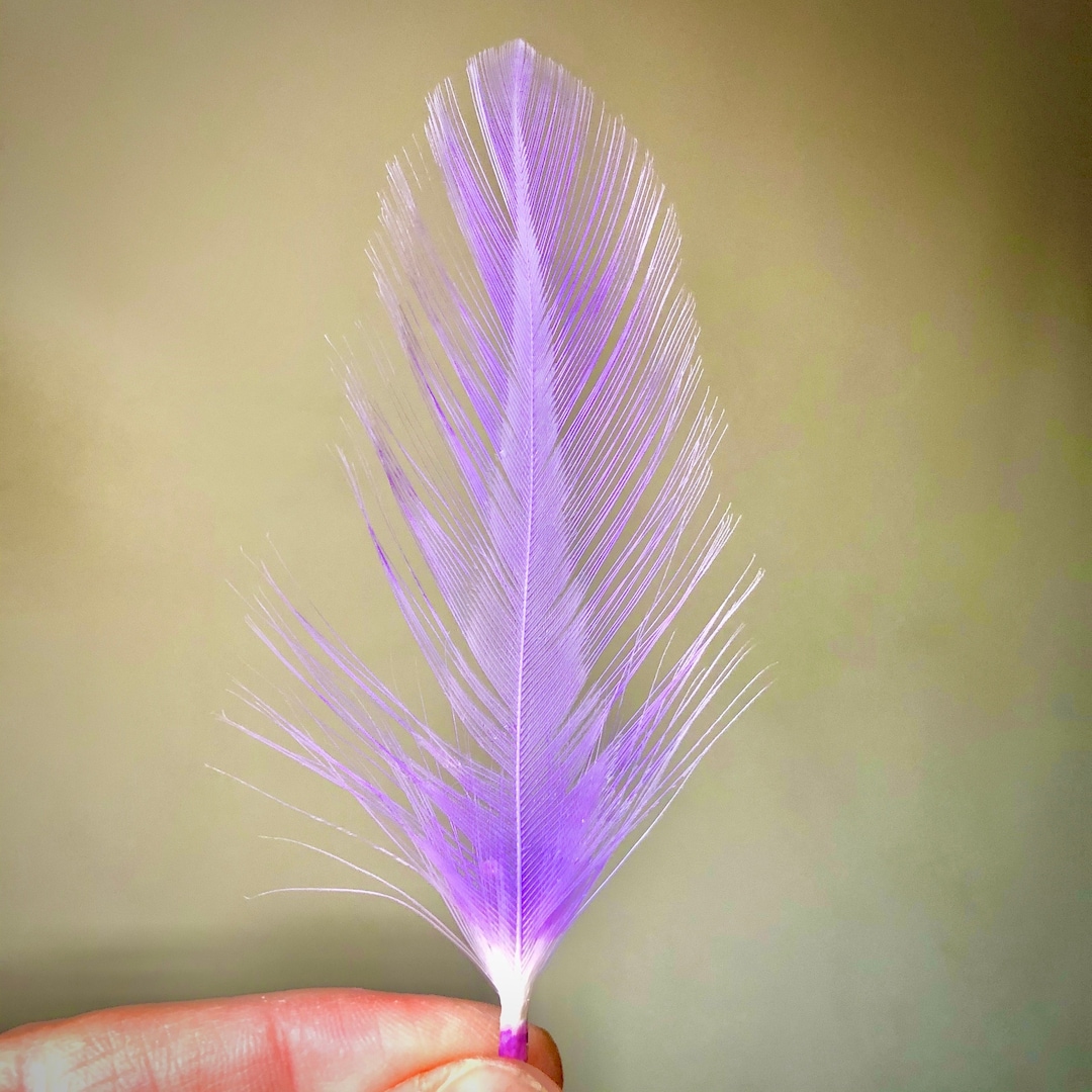 Millinery Extra Fluff Hackle Feathers in Lavender by Aleene's Craft ...