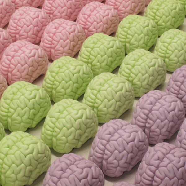 Brain Soap - Etsy