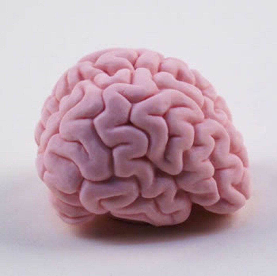 Brain Soap 3 Piece Set - Etsy