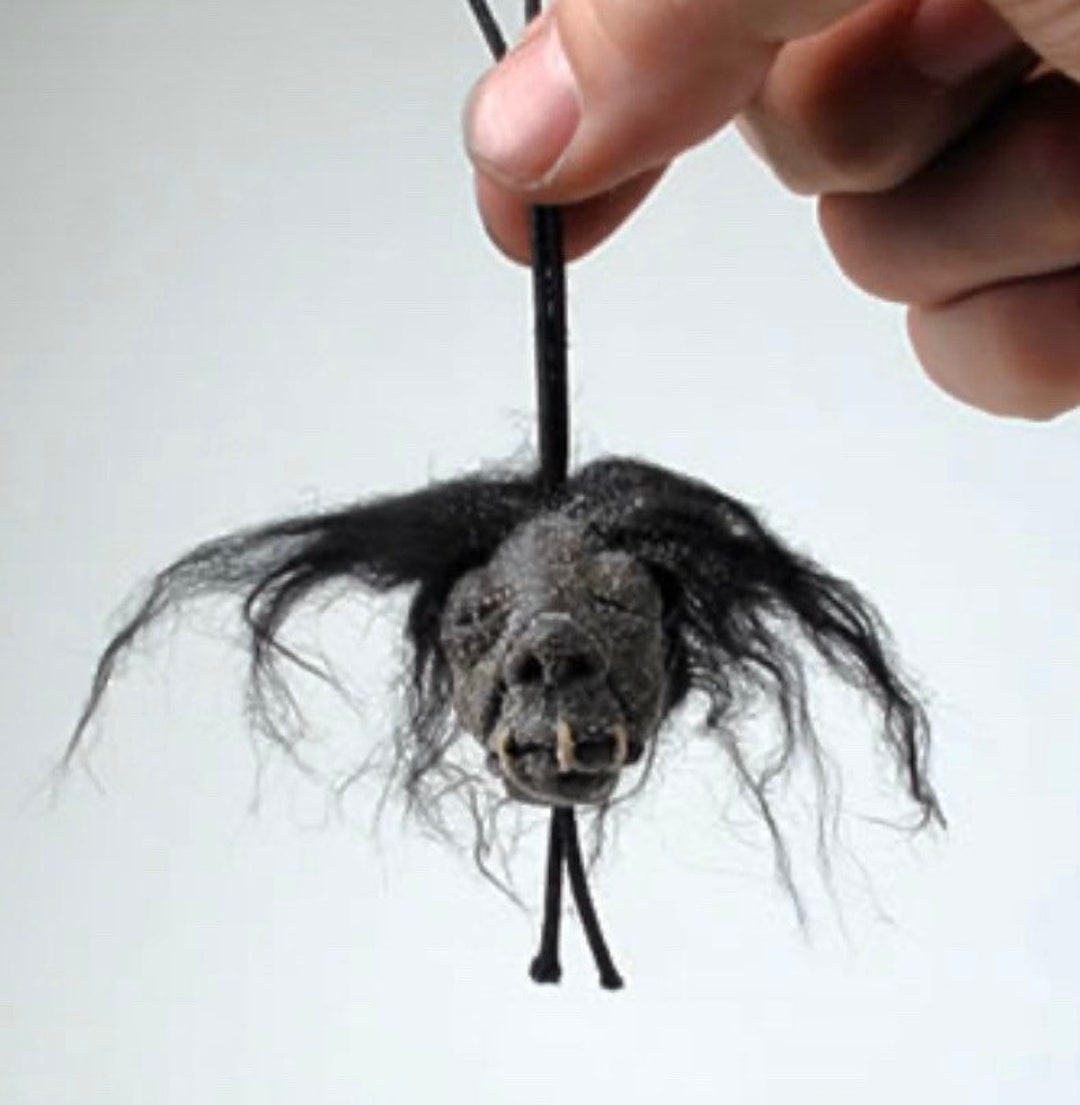 Shrunk’n Shrunken Head - Etsy