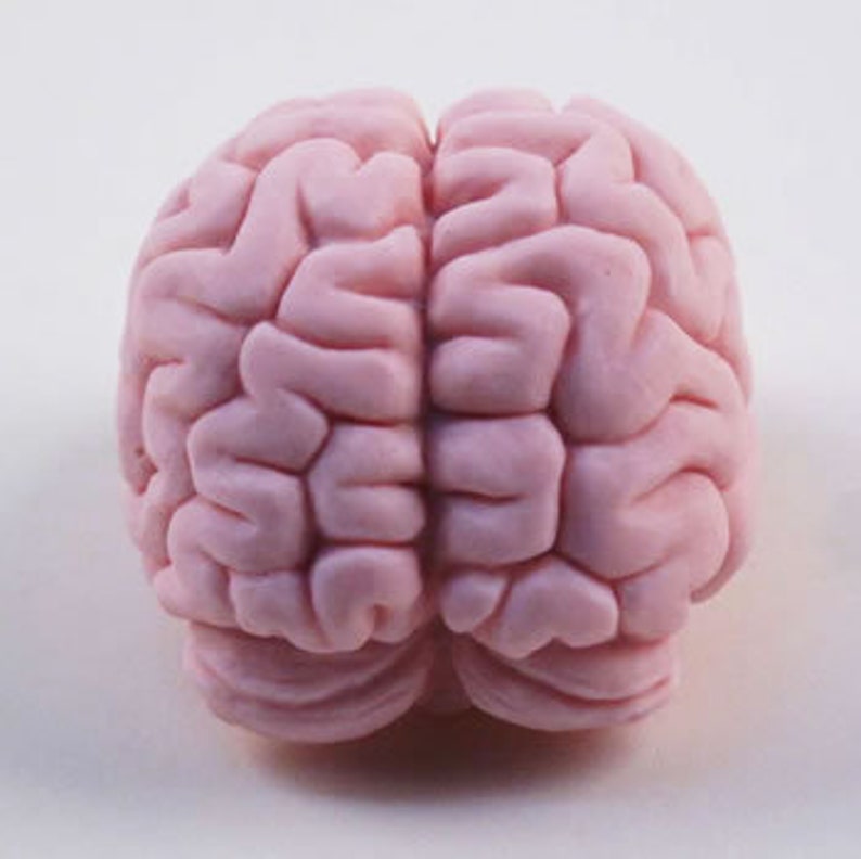 Brain Soap 3 Piece Set - Etsy