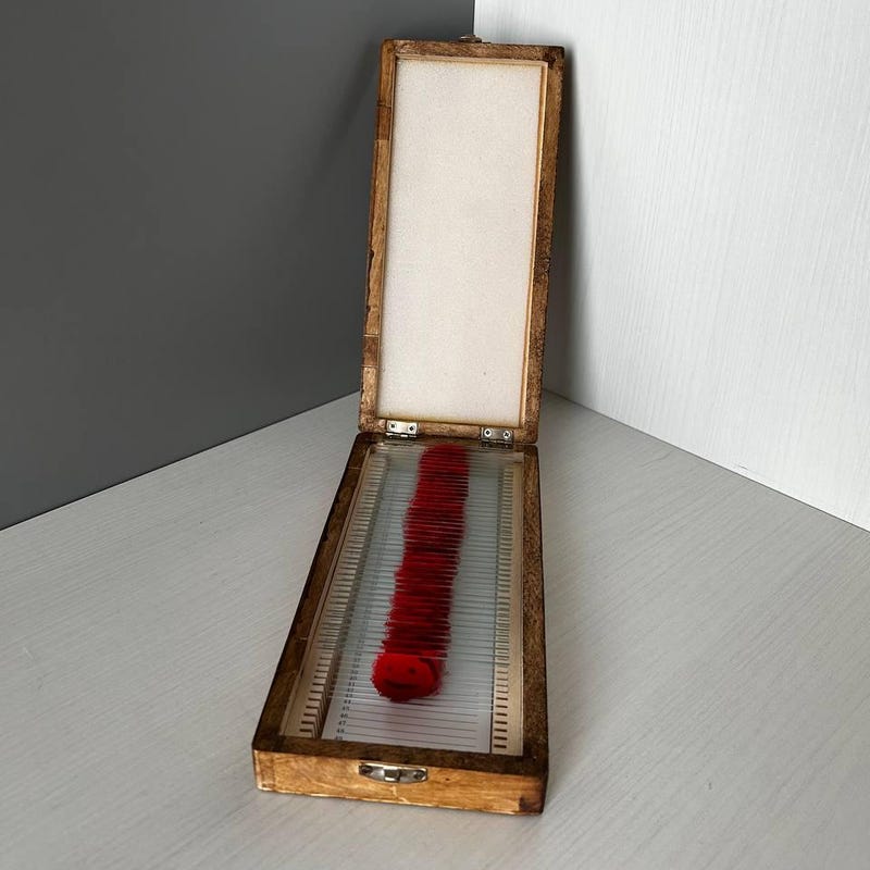 Dexter Blood Slide Box - Etsy UK