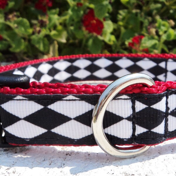 White Harlequin - Etsy