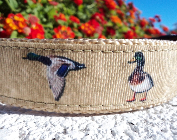 Handmade Duck Collar. Coco Collar. Green and Brown Jacquard Ribbon. for ...