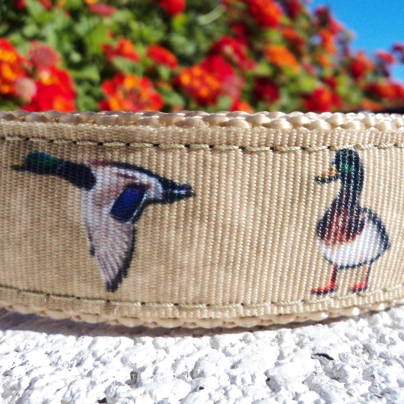 Cute Goat Collars - Etsy