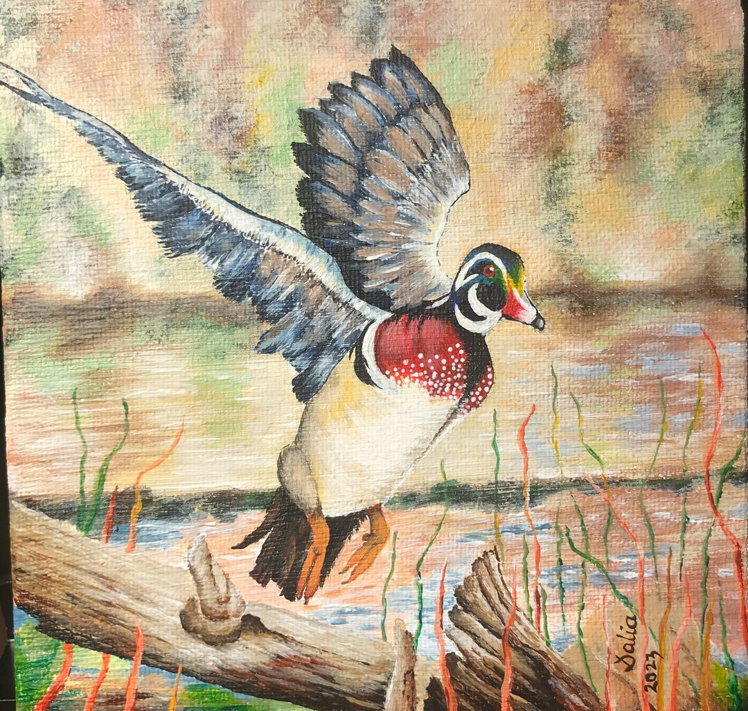 Wood Duck, Original Painting, 6x6 Acrylic on Canvas, Small Detailed ...
