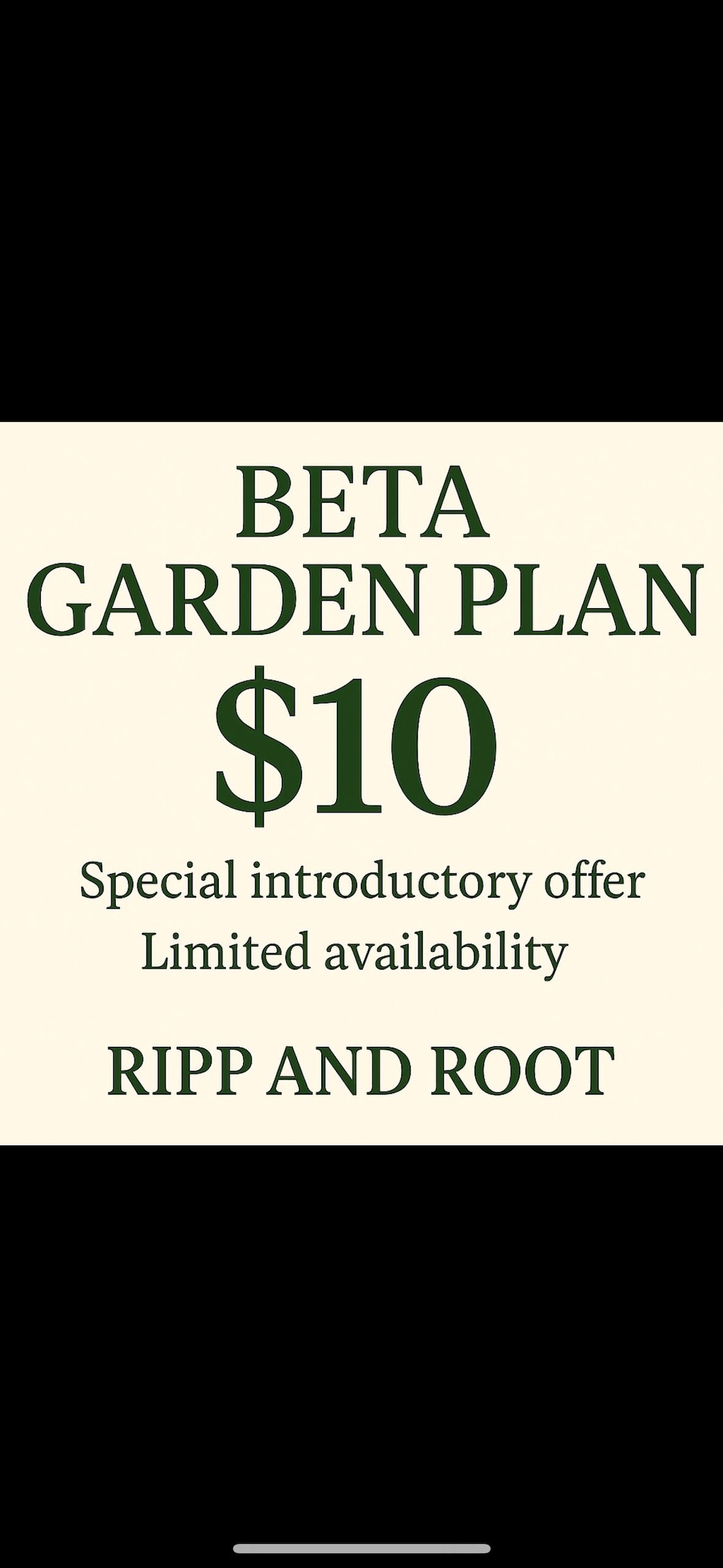 Custom Raised Flower Bed Plan | Limited Time Offer - Etsy