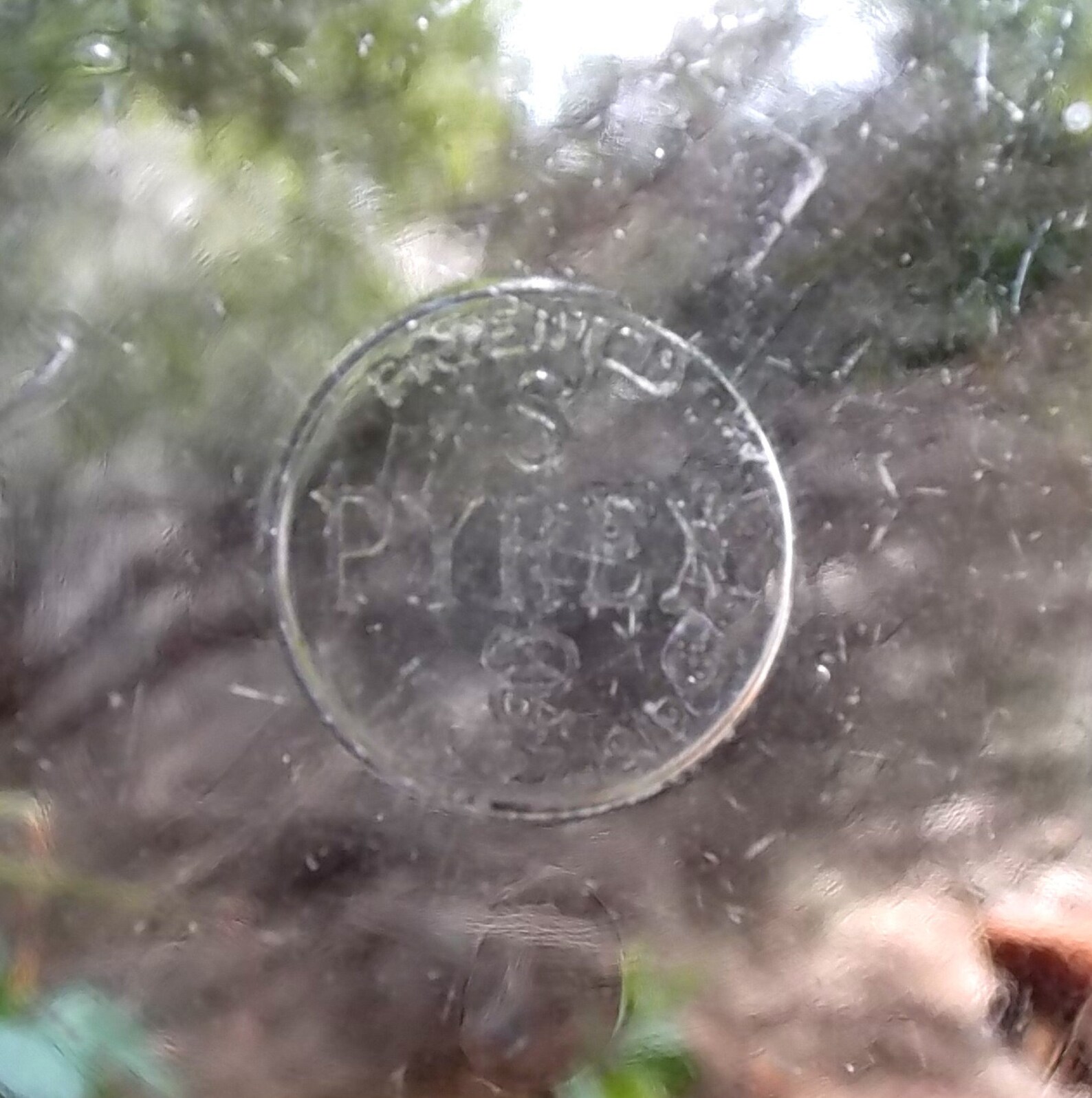 Vintage Pyrex 8 Inch Pie Plates Model 208, Various and Older Models ...