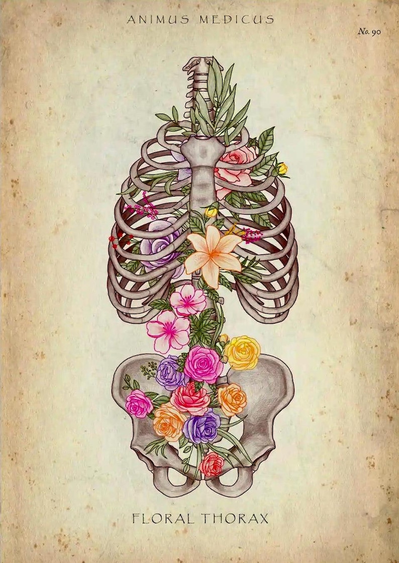 Floral Thorax Poster Anatomical Flower Picture for Medical Art Lovers ...