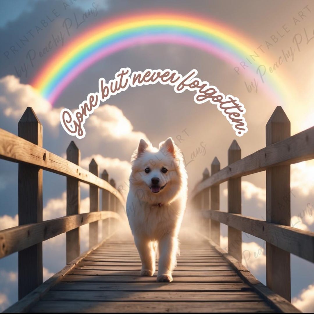 Rainbow Bridge Digital Backdrop, Pet Memorial Digital Background,way to ...