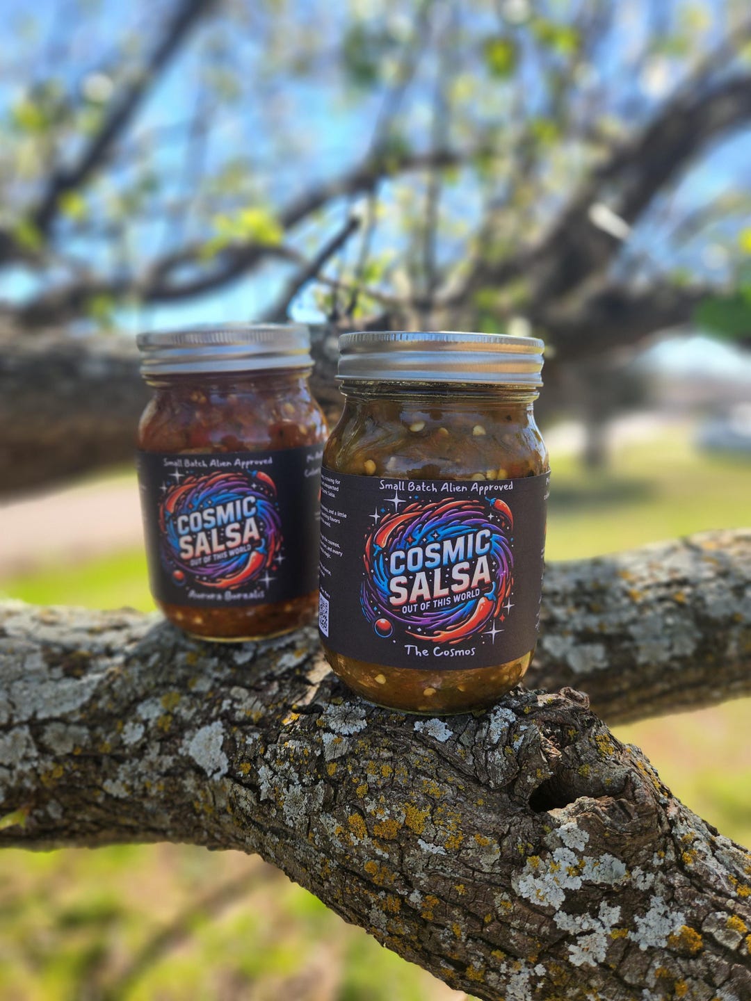 Cosmic Salsa Fresh – Small Batch, Homemade, Artisan Salsa, No Additives ...