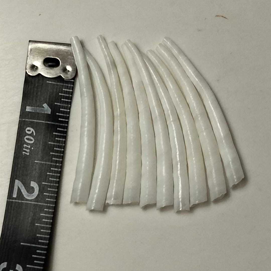 Dentalium Shell 2" - Etsy