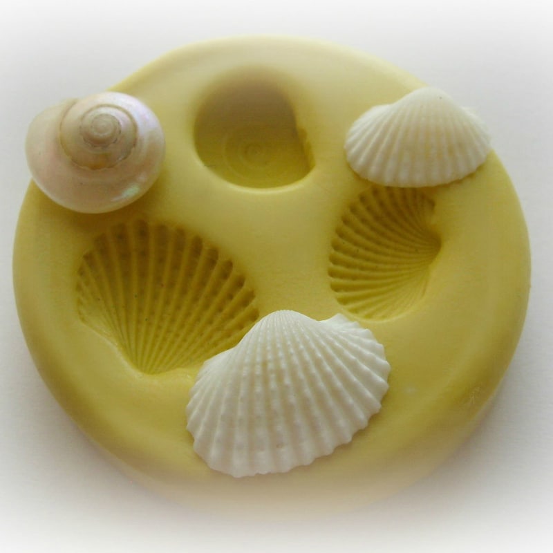 Sea Shell Fondant Mould - Etsy