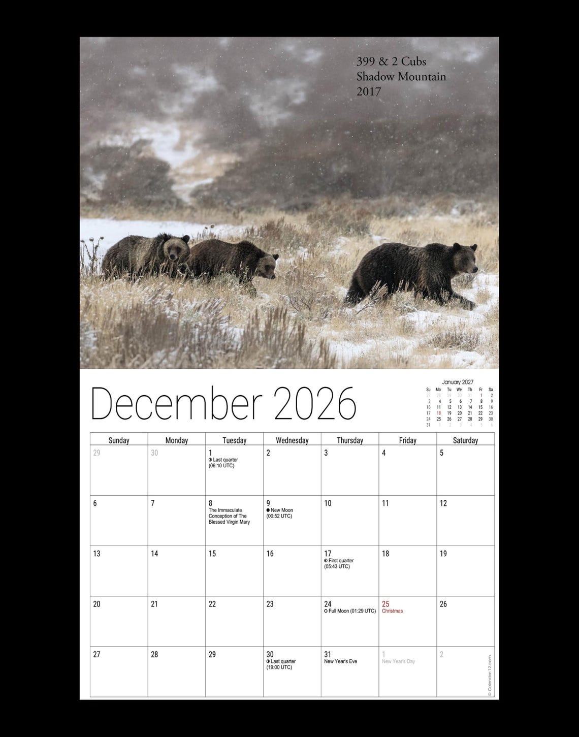 Remember Grizzly 399, Over the Years - Etsy