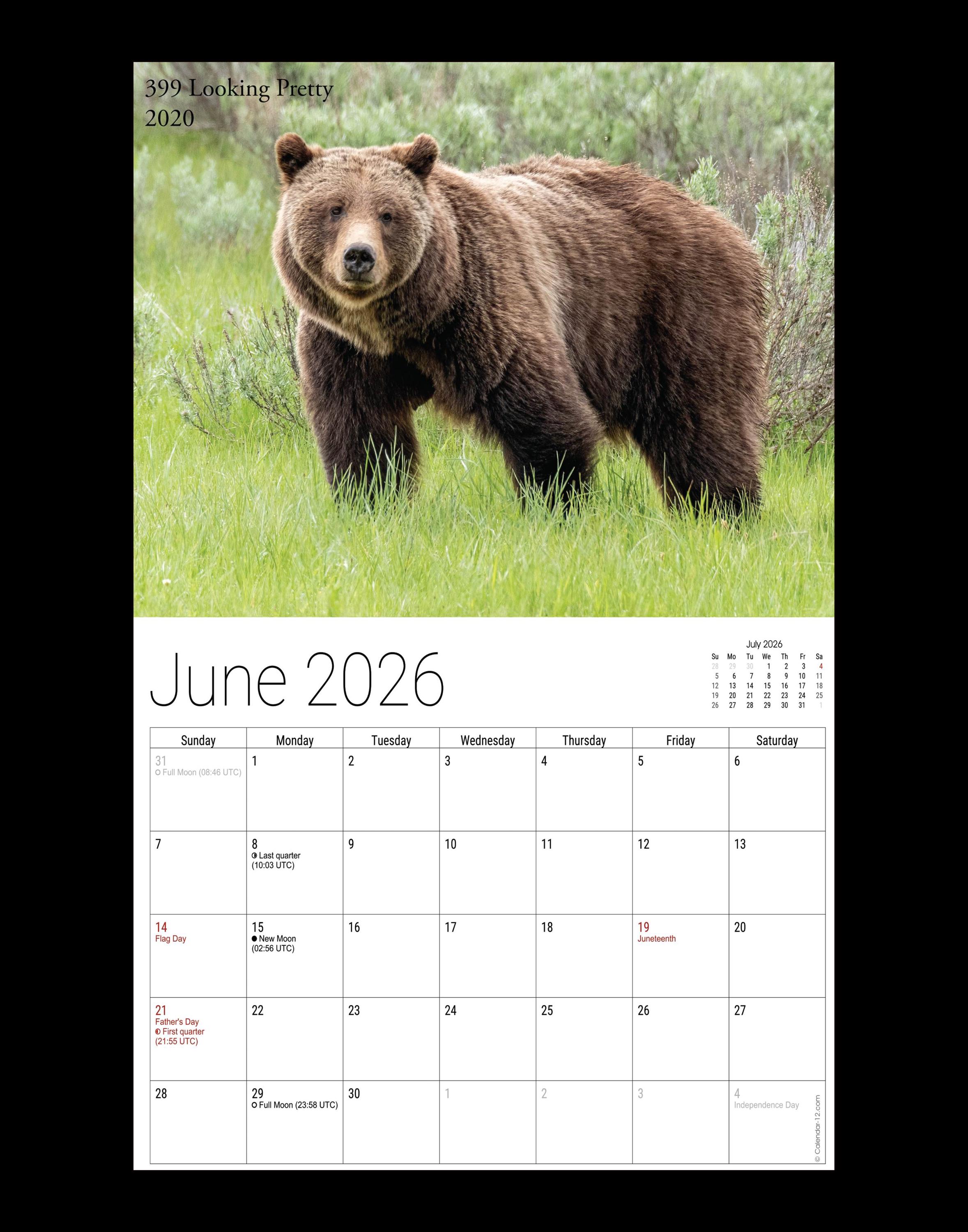 Remember Grizzly 399, Over the Years - Etsy