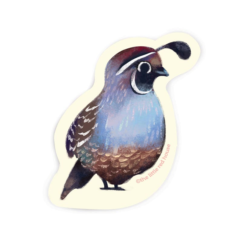 Quail Stickers - Etsy