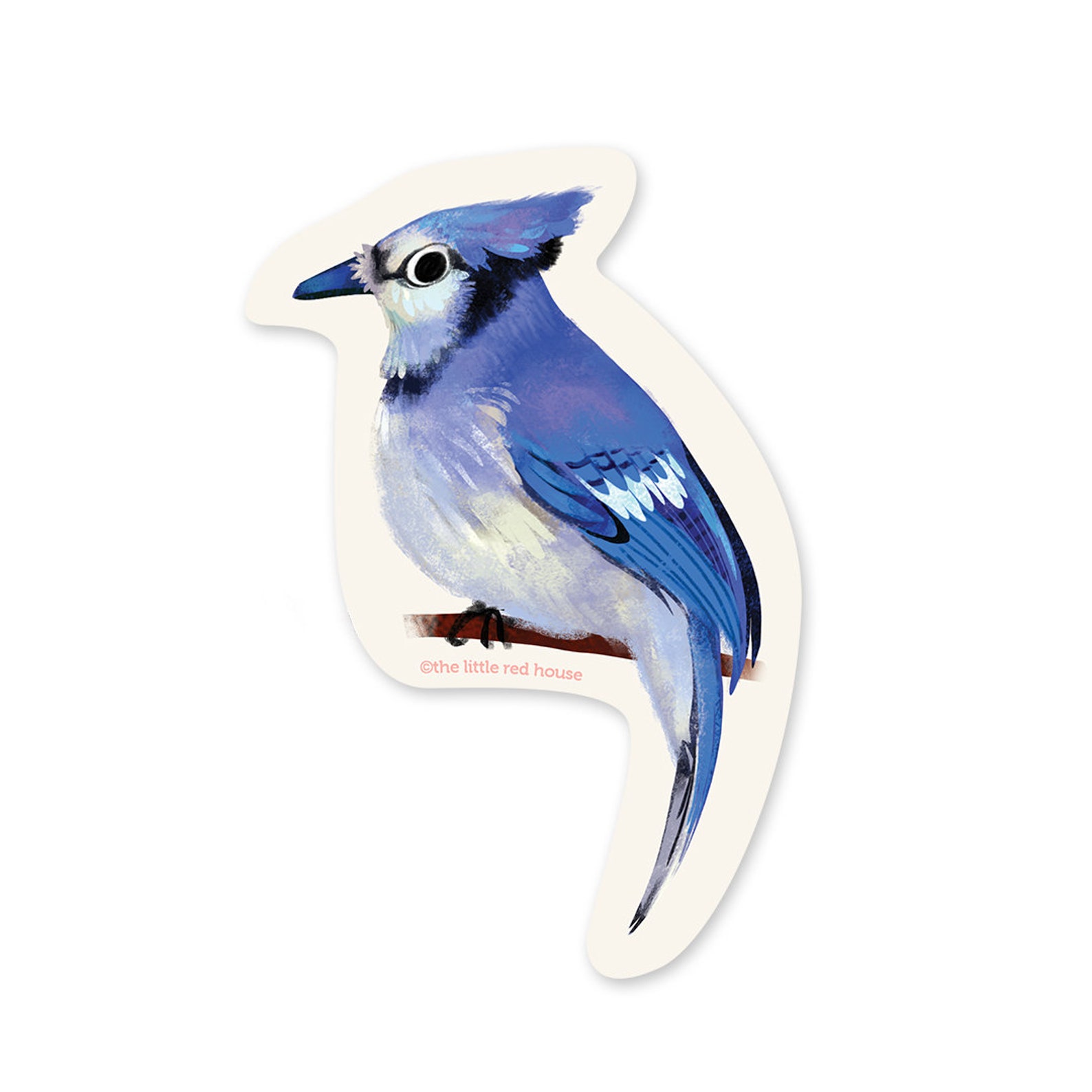 Blue Jay Vinyl Sticker | Etsy