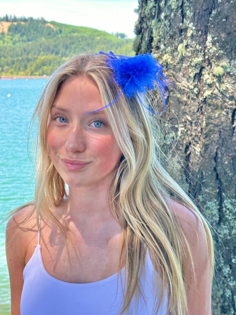 Royal Blue Feather Clip, Blue Hair Clip, Ostrich Feather Clip,feather ...