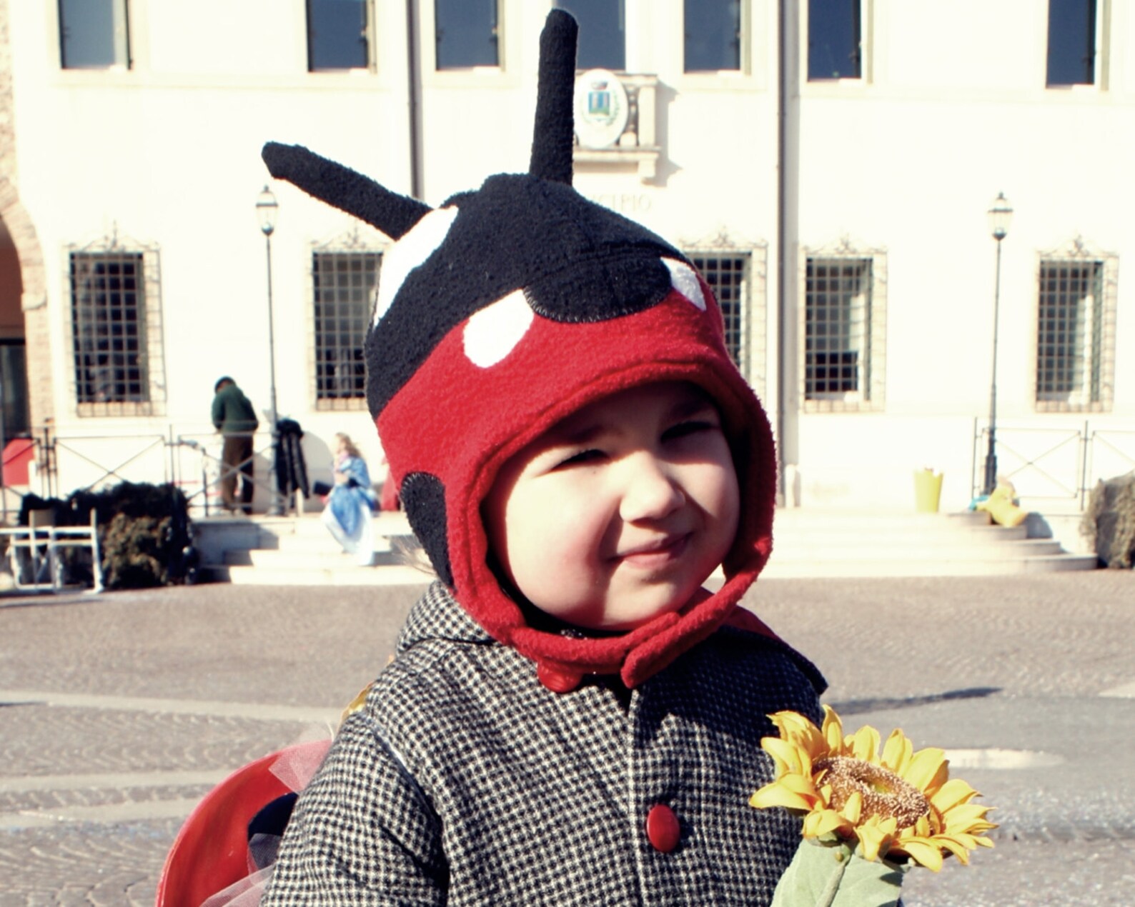 Ladybug Hat PDF Pattern - Etsy