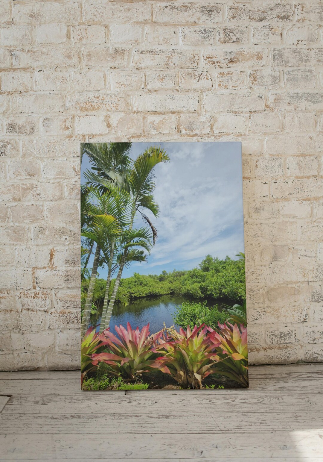 Tropical Palm Garden at Queen Elizabeth II Royal Botanic Park - Cayman ...