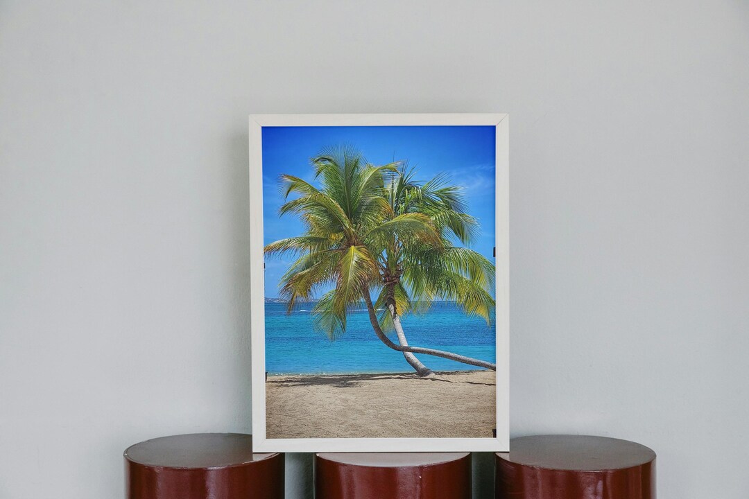 St. Croix Tropical Palm Tree Print – Caribbean Beach Photography, St ...