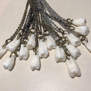 Tooth Fairy Series: One Real Human Tooth Pendant Necklace - Etsy UK