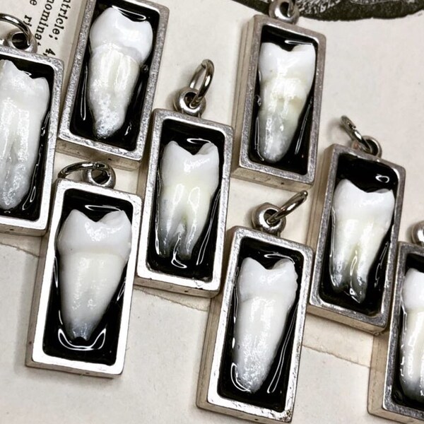 Human Teeth - Etsy