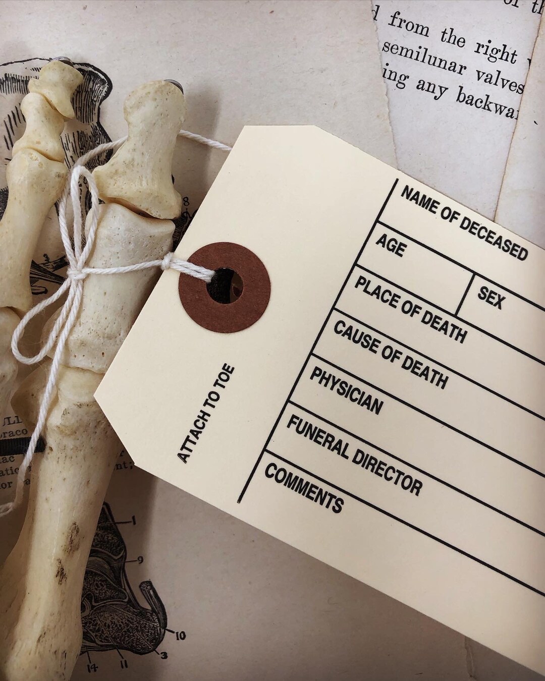 10 Real Corpse Toe Tags Blank With String to Tie to Toe! - Etsy