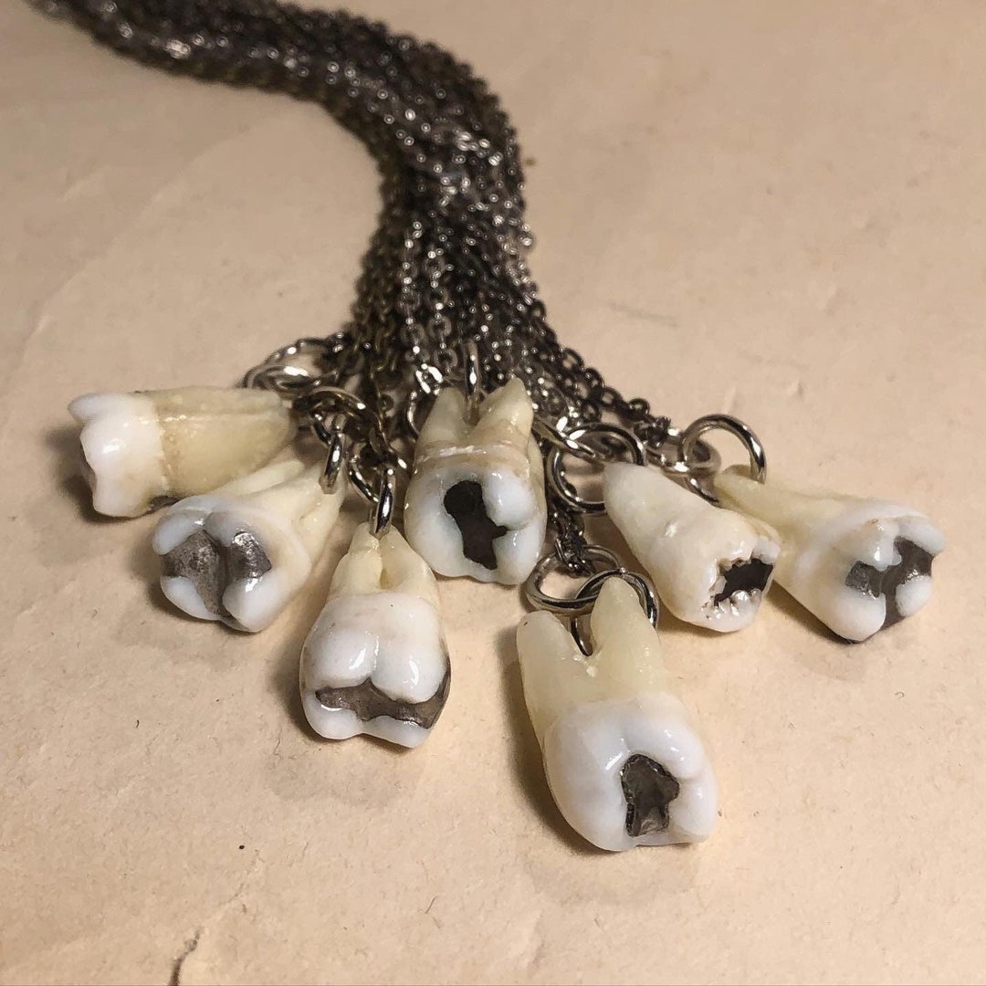One Real Human Tooth Pendant Necklace With Filling - Etsy