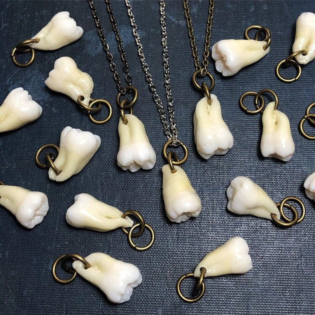 One Real Human Tooth Pendant Necklace With 1 Root or 2 Attached Roots ...