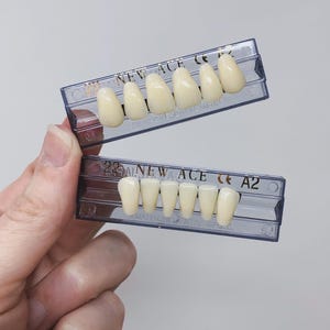 2 Trays - Resin Human Teeth Upper & Lower Front Sets - for Crafting ...