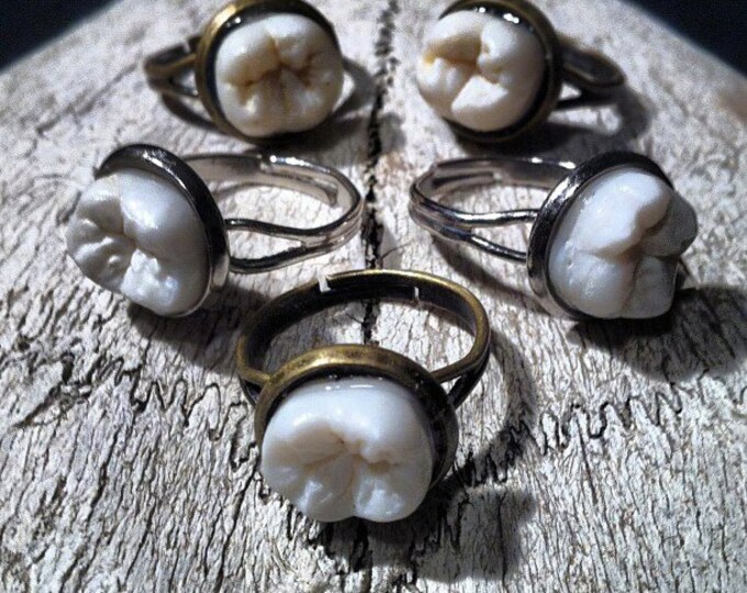 Tooth Fairy Series: ANTIQUE BRASS Cameo Set Real Human Tooth Adjustable ...