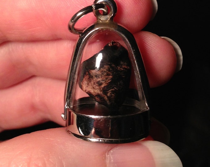 Token From the Heart: Real Dry Preserved Rat Heart Pendant Necklace - Etsy