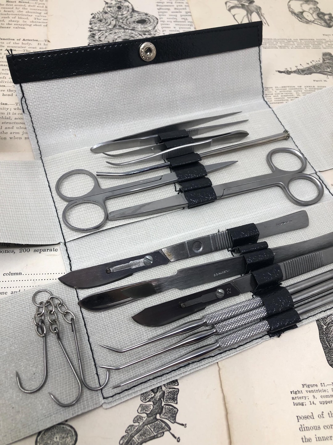 Dissection Tool Kit in Travel Case - 13 Piece Surgical Medical ...