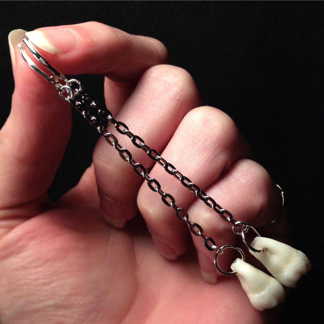 YOUR SUPPLIED TEETH Made Into One Pair of Surgical Steel Leverback ...